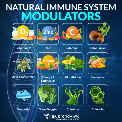 Immune Boosters: 12 Natural Immune System Modulators