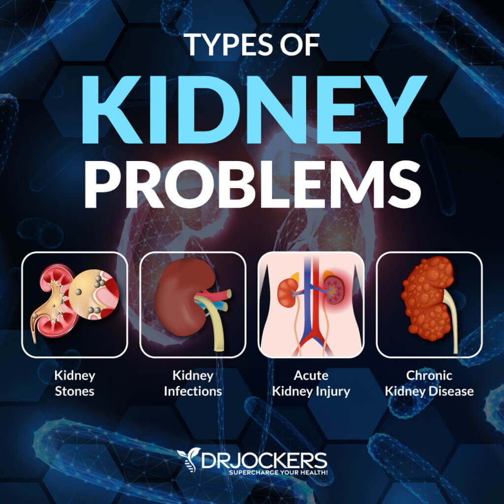 Healthy Kidneys: Best Foods and Natural Remedies - DrJockers.com