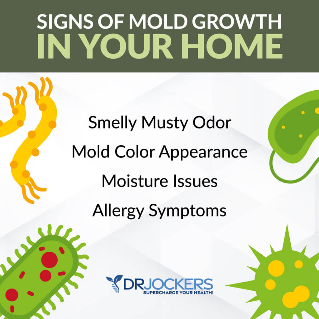Mold Exposure: Signs of Mold Growth & Health Risks