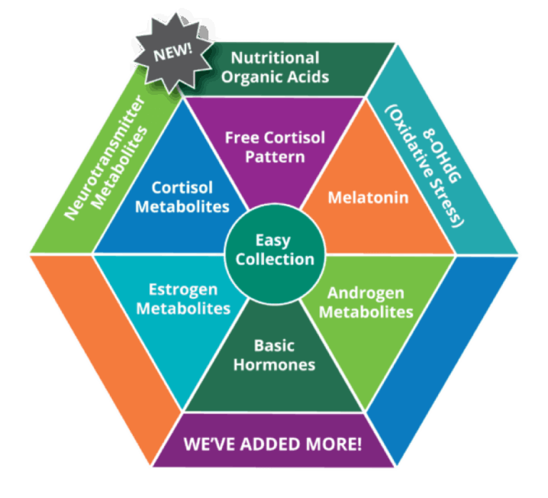 The DUTCH Complete Hormone Panel - DrJockers.com