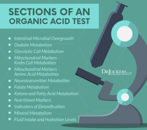 Organic Acids Test: Analyzing this Functional Health Test