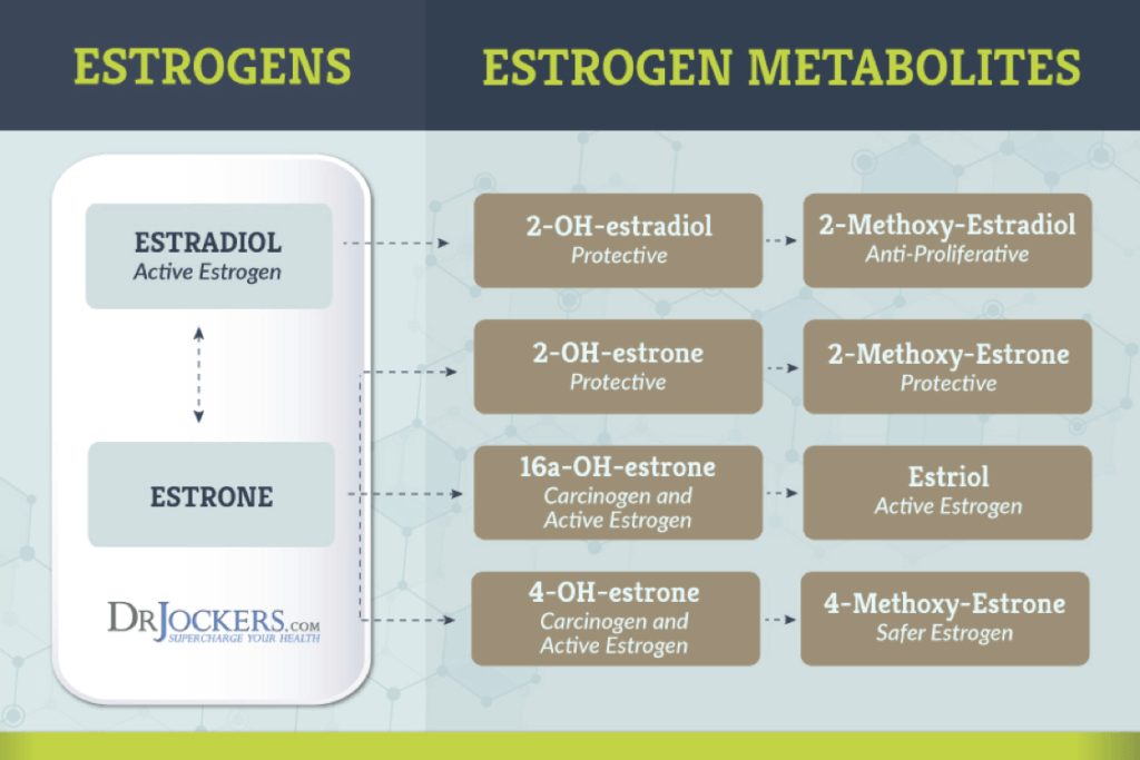 The DUTCH Complete Hormone Panel - DrJockers.com