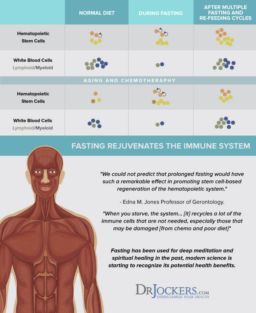 Fasting Lifestyle: Top 12 Benefits of Periodic Fasting - DrJockers.com