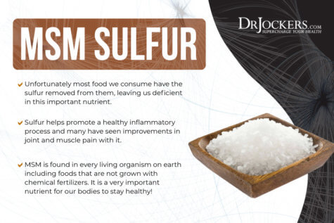 The Top 5 Health Benefits of MSM for Pain, Skin and Longevity