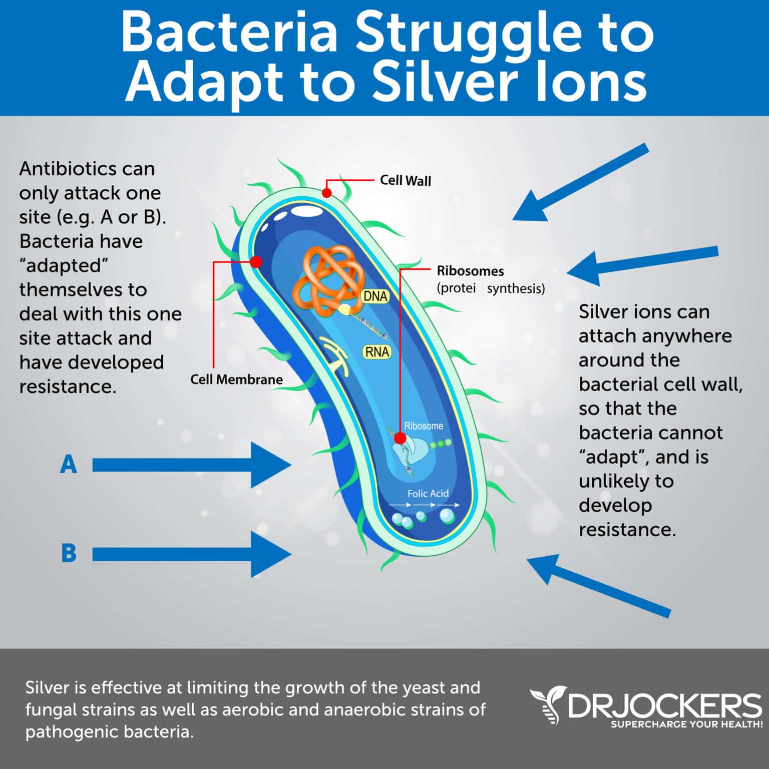 Colloidal Silver: Top 3 Immune Benefits and How to Use It - DrJockers.com