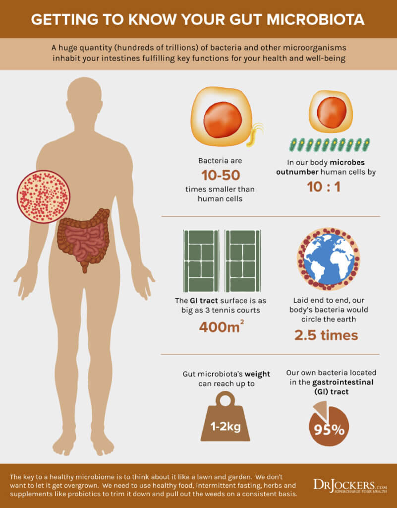 10 Ways To Improve The Gut Microbiome - DrJockers.com