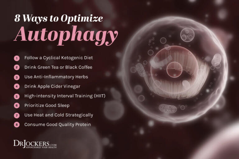 Autophagy: What is It and 8 Ways to Enhance It - DrJockers.com