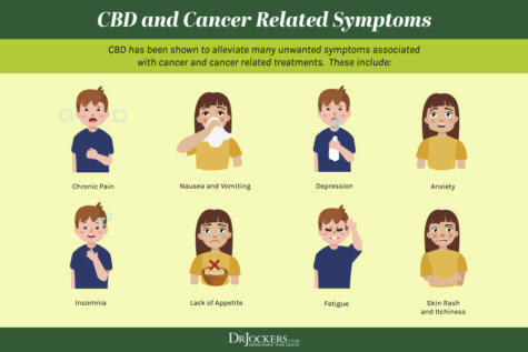 CBD Oil: Top 7 Benefits and How to Use It - DrJockers.com