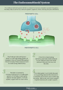 CBD Oil: Top 7 Benefits and How to Use It - DrJockers.com