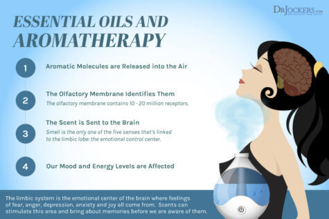 How To Use Essential Oils like a Pro - DrJockers.com