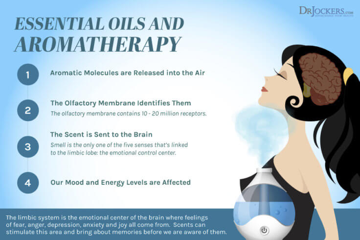 How To Use Essential Oils like a Pro - DrJockers.com