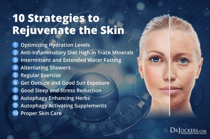 Skin Autophagy: 10 Strategies to Rejuvenate Your Skin - DrJockers.com