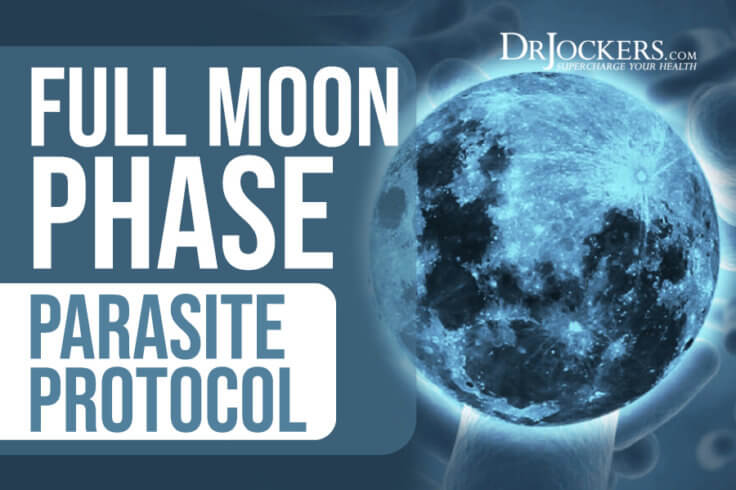 Full Moon Phase Parasite Protocol - DrJockers.com
