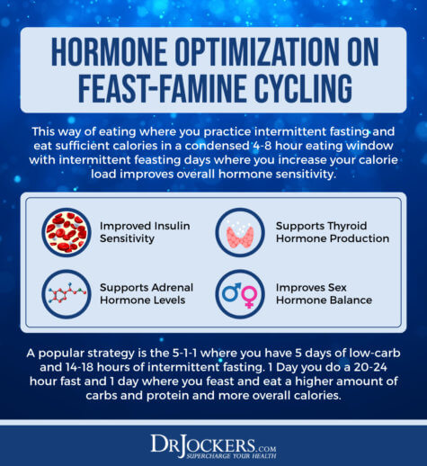 Feast Famine Cycling: Autophagy, Cleansing and Muscle Growth