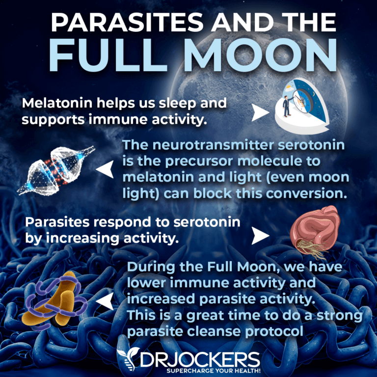 Parasite Infections: Functional Lab Analysis To Identify Parasites