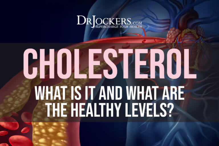 Cholesterol: What is It and What are Healthy Levels? - DrJockers.com