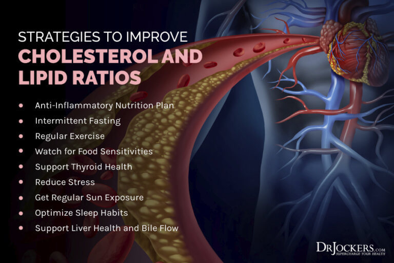 Cholesterol: What is It and What are Healthy Levels? - DrJockers.com