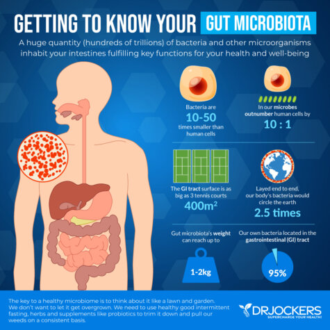 10 Ways To Improve The Gut Microbiome - DrJockers.com