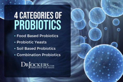 Probiotics: Benefits, Categories, and Protocols - DrJockers.com
