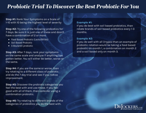 Probiotics: Benefits, Categories, and Protocols - DrJockers.com