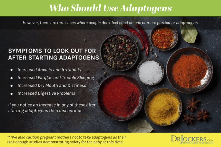 Top 5 Adaptogens for Stress Reduction - DrJockers.com