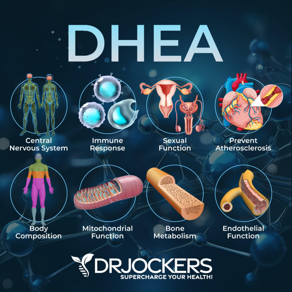 10 Tips to Boost DHEA levels For Healthy Skin and Hormones