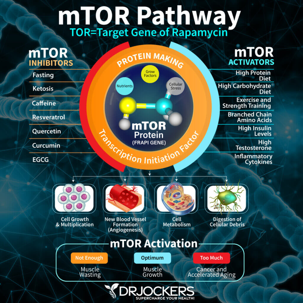 How Much Protein Should You Consume Daily? - DrJockers.com