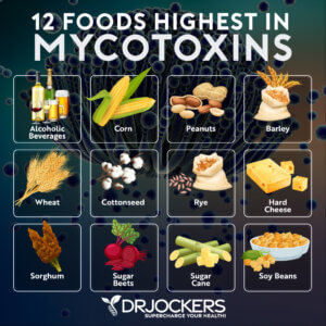 Mycotoxins: What Are They, Testing and How to Detox