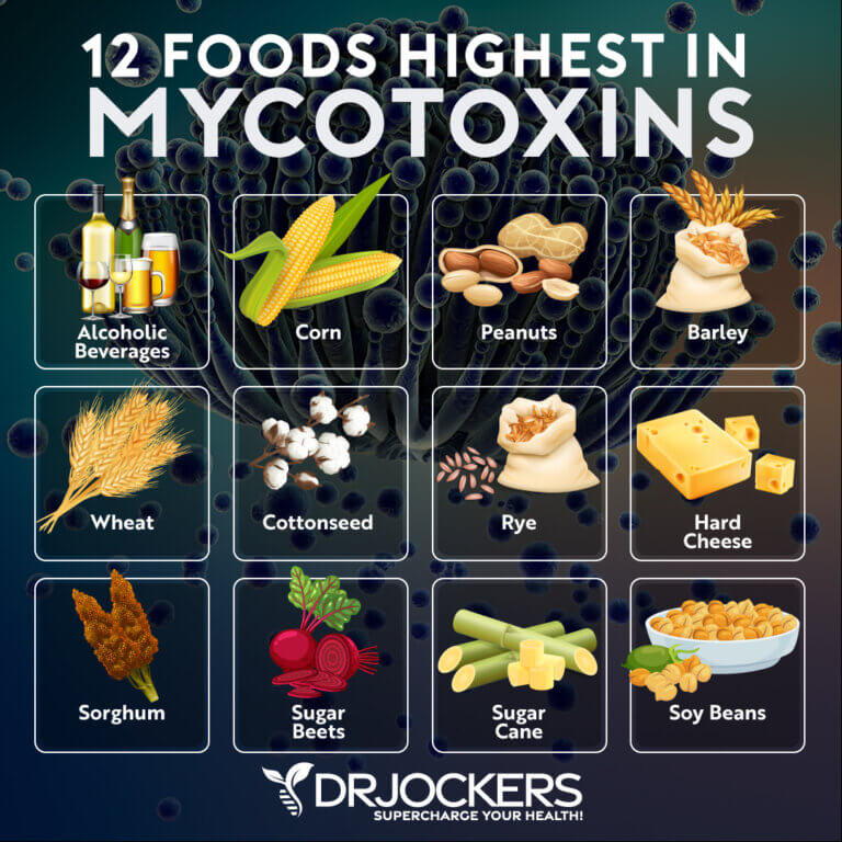 Mycotoxins: What Are They, Testing and How to Detox