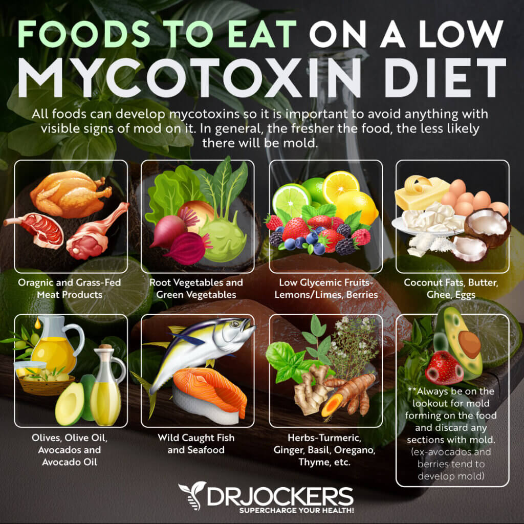 Mycotoxins: What Are They, Testing and How to Detox