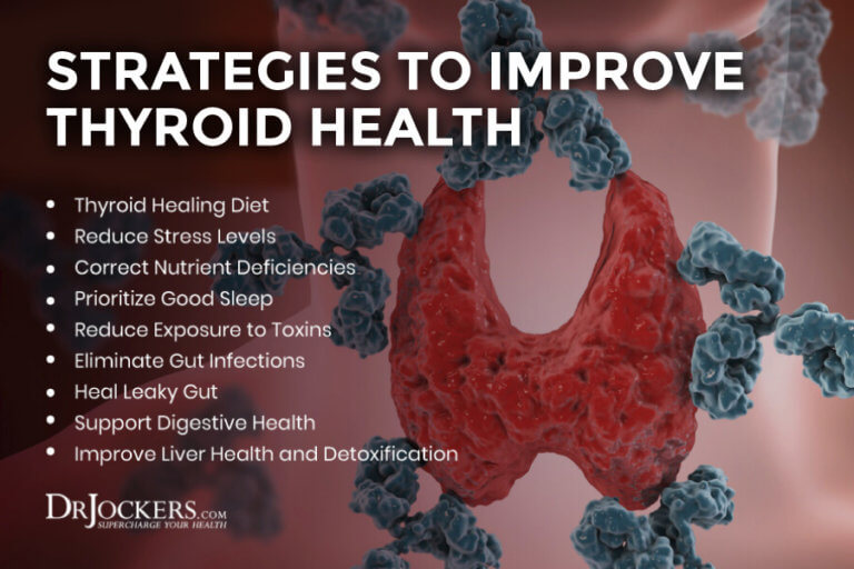 Hashimoto's Thyroiditis: Causes, Symptoms and Support Strategies