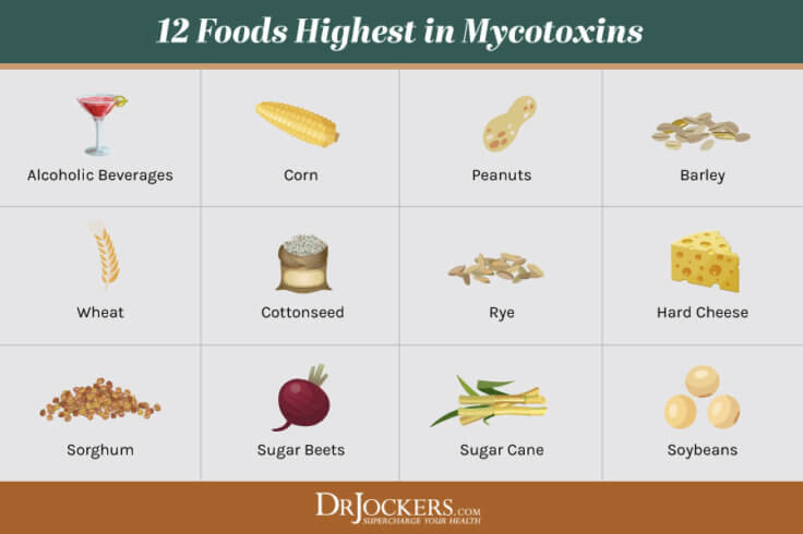 Mycotoxins: What Are They, Testing and How to Detox