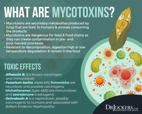 Mycotoxins: What Are They, Testing and How to Detox