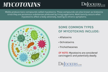 Mycotoxins: What Are They, Testing and How to Detox - DrJockers.com