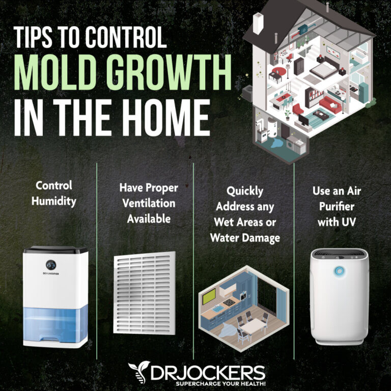 Mold Exposure: Signs of Mold Growth & Health Risks