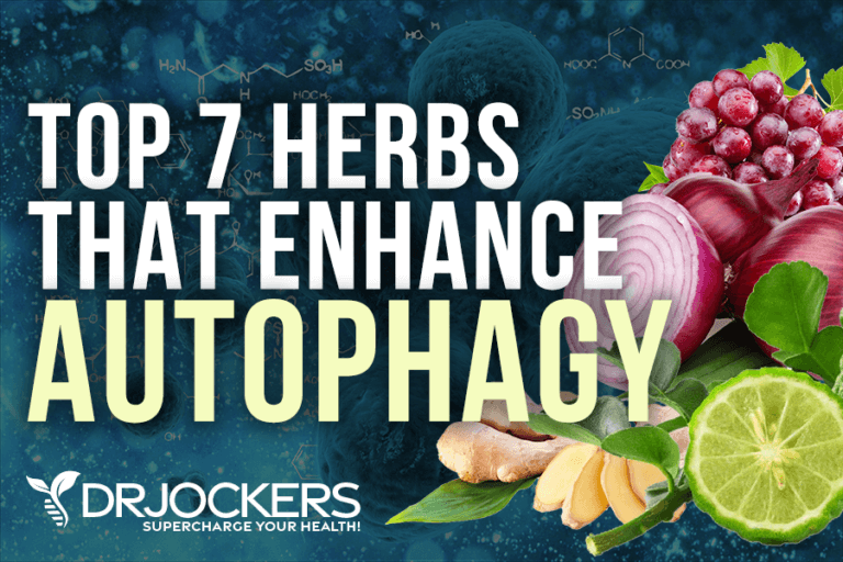 7 Herbs That Enhance Autophagy and Cellular Healing