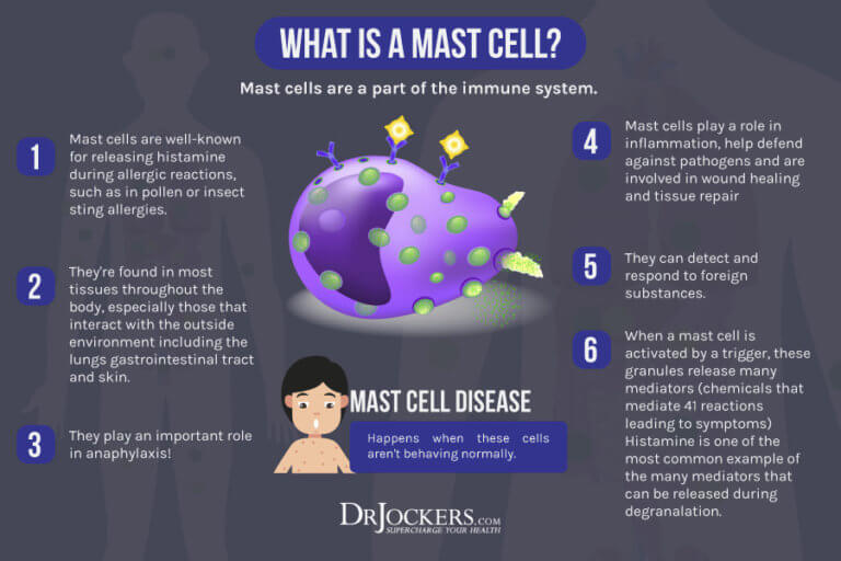 Mast Cell Activation Syndrome: Symptoms and Support Strategies