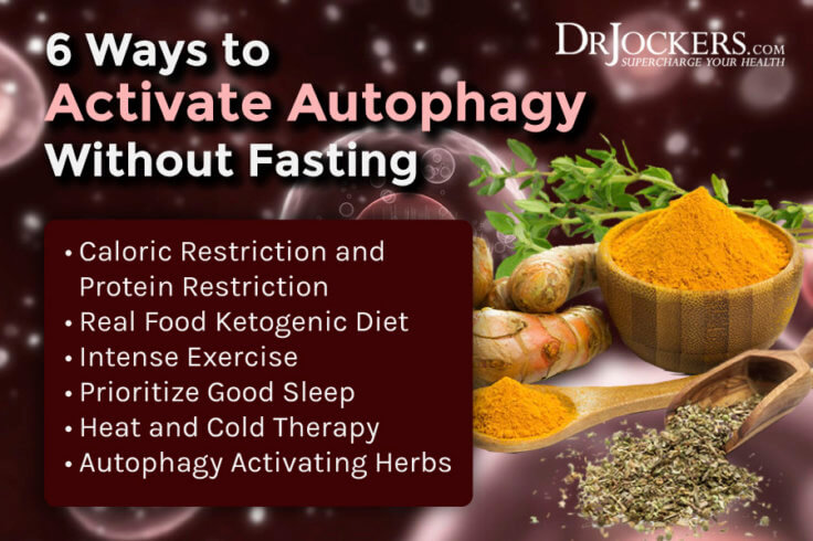 6 Ways To Activate Autophagy Without Fasting - DrJockers.com