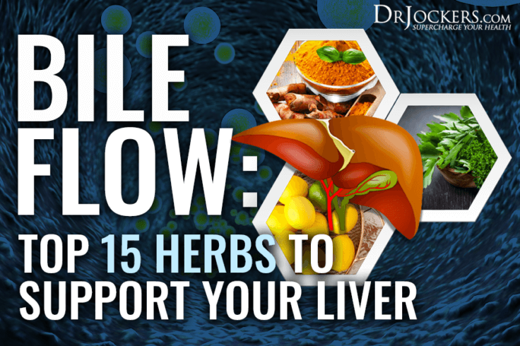 Bile Flow: Top 15 Herbs to Support Liver & Gallbladder