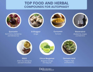 7 Herbs That Enhance Autophagy and Cellular Healing - DrJockers.com