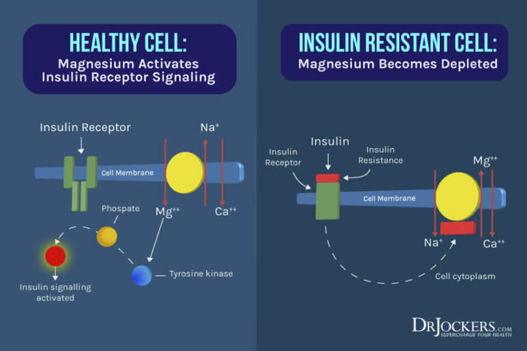 Magnesium Loading: How To Optimize Magnesium Levels - DrJockers.com