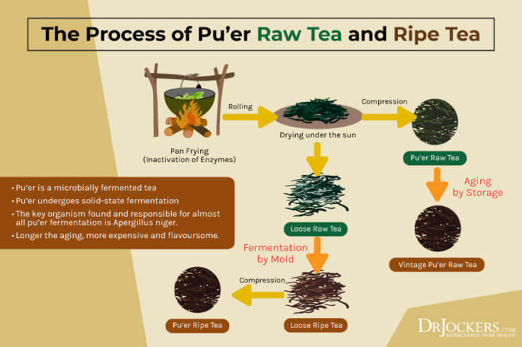 Pu'er Tea: Deep Fermentation and Polyphenols - DrJockers.com