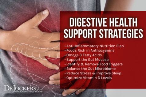 Ulcerative Colitis: Causes, Symptoms and Support Strategies