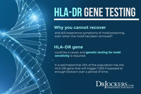 CIRS: Causes, Symptoms and Solutions - DrJockers.com