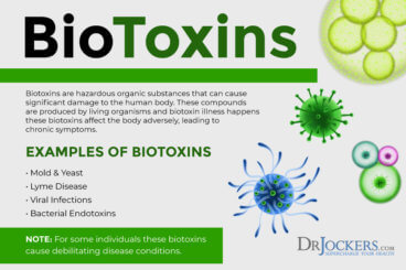 BioToxin Illness: Symptoms, Causes and Healing Protocol - DrJockers.com
