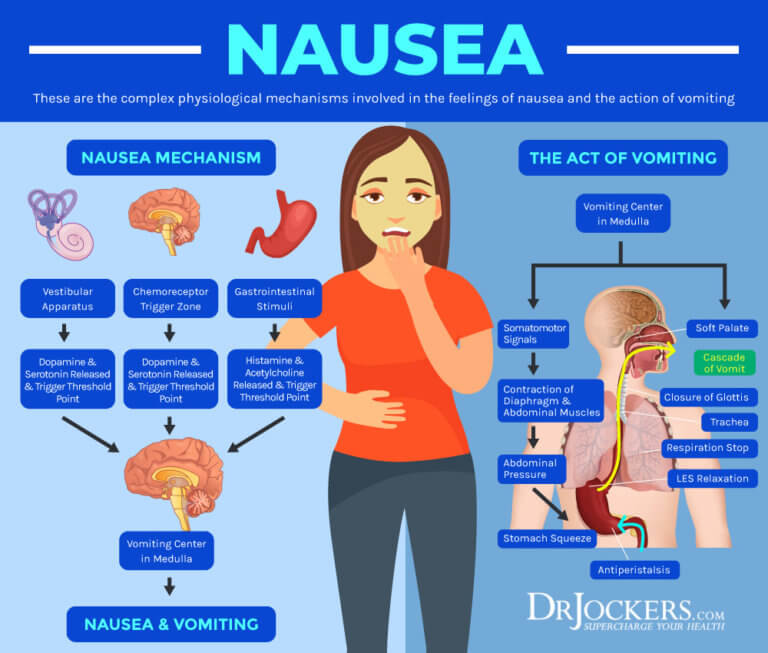 Nausea: Common Causes and Natural Healing Strategies - DrJockers.com