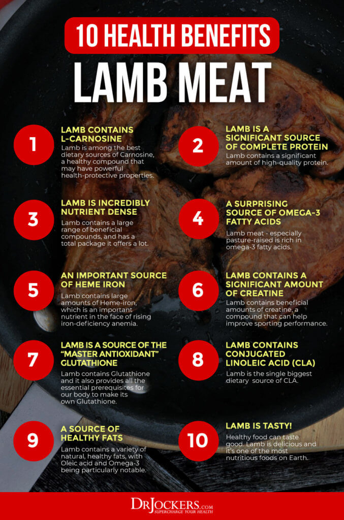 Biblical Nutrition: Top 13 Bible Foods and Their Health Benefits