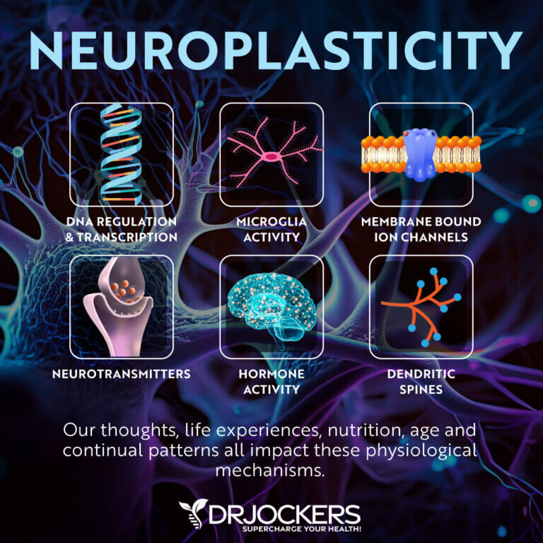 Brain Regeneration: 12 Ways to Heal Brain Cells - DrJockers.com