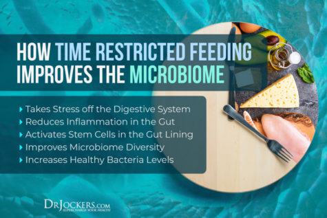 Time Restricted Feeding Improves Digestion and The Microbiome