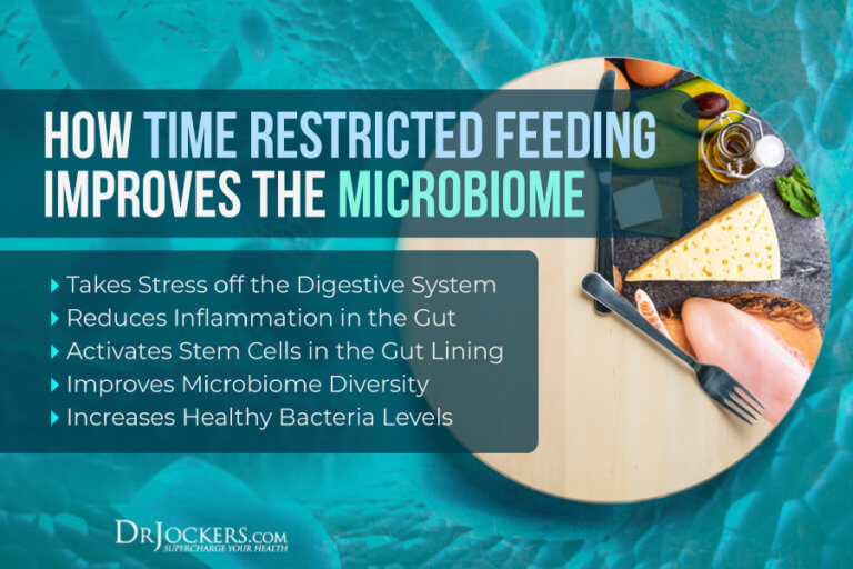 Time Restricted Feeding Improves Digestion and The Microbiome